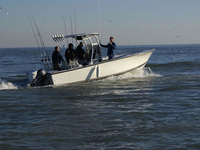 1989 Seacraft 23' with SG300 Review | Stryker T-Tops