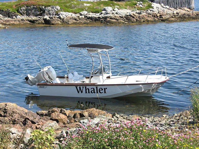1984 Boston Whaler 20' with SG600 Review | Stryker T-Tops